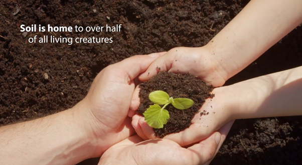 What is the Mission Soil? | Mission Soil Platform What is the Mission Soil? | Mission Soil Platform